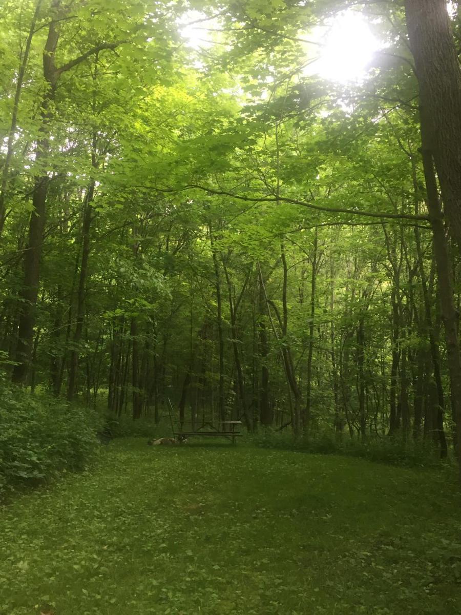 Campsites - Nature's Healing Hills